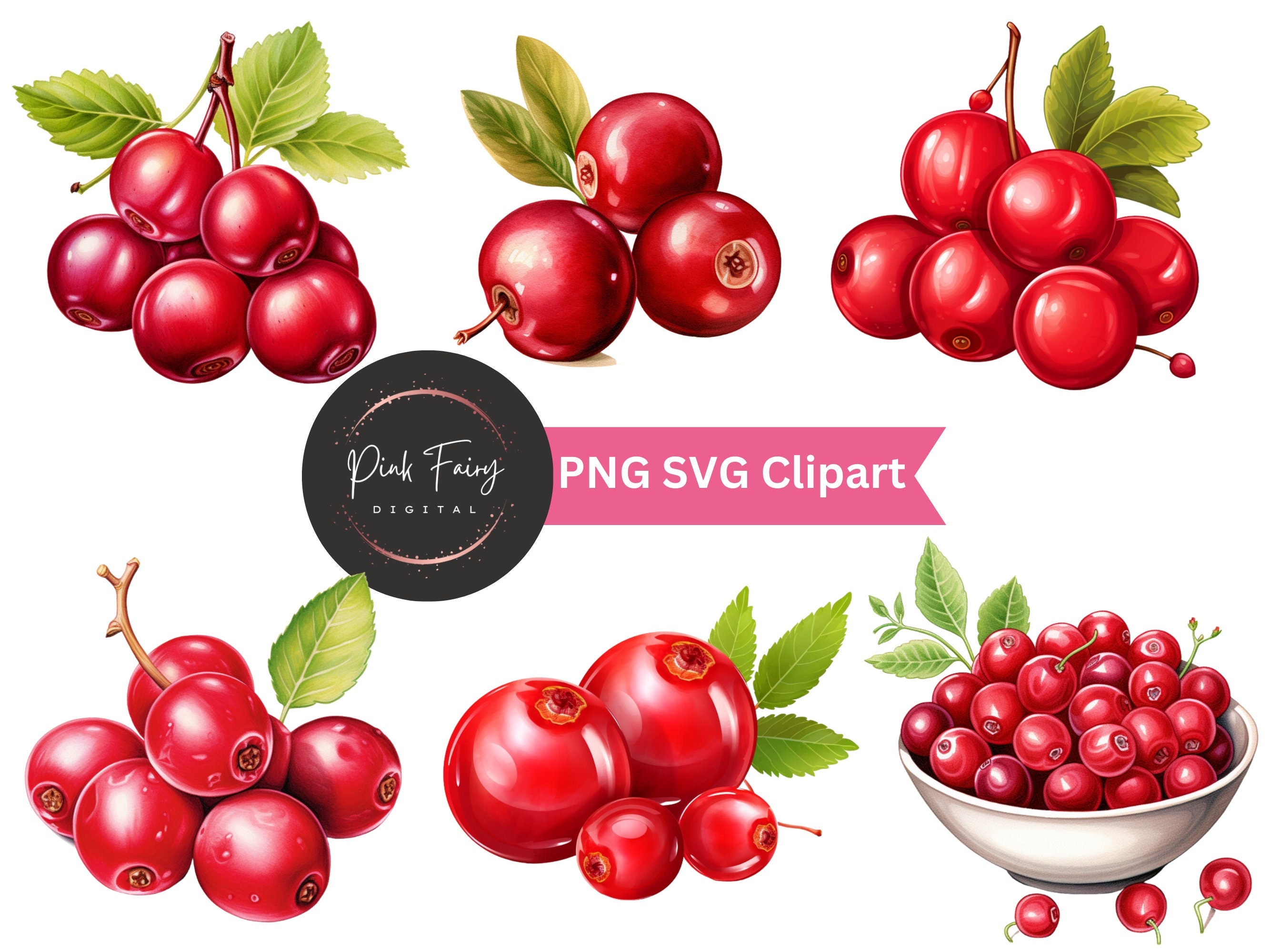 Cranberries Fruit Clipart Set Festive Holiday Printable - Etsy