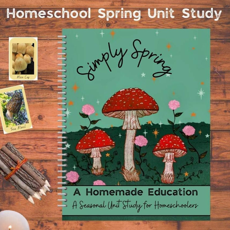 AHomemadeEducation - Etsy