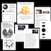 Homeschool Fall Unit Study Bundle Learning Pack Fall Education Simply ...