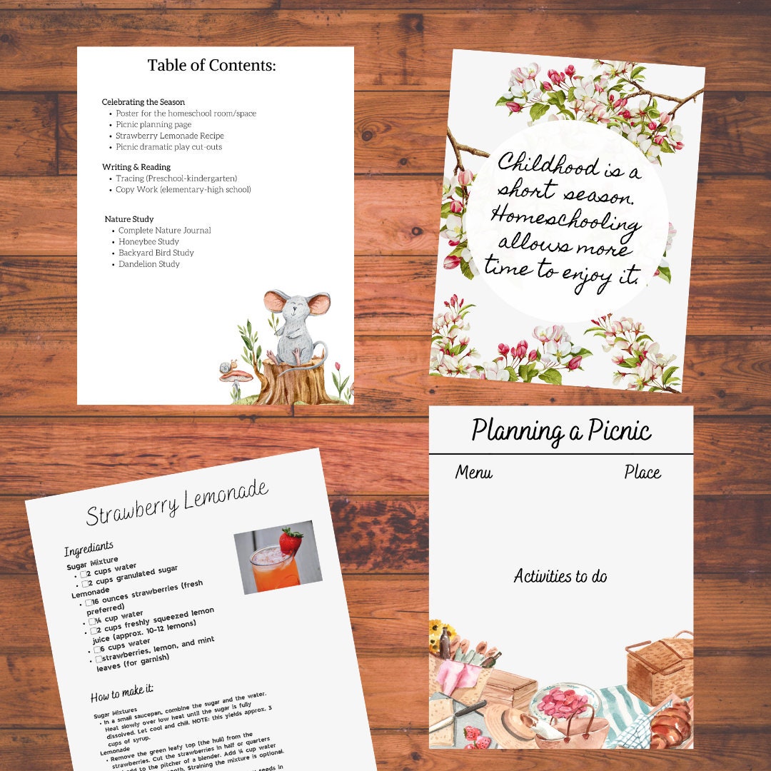 Homeschool Summer Unit Study Seasonal Learning Pack Family Style ...
