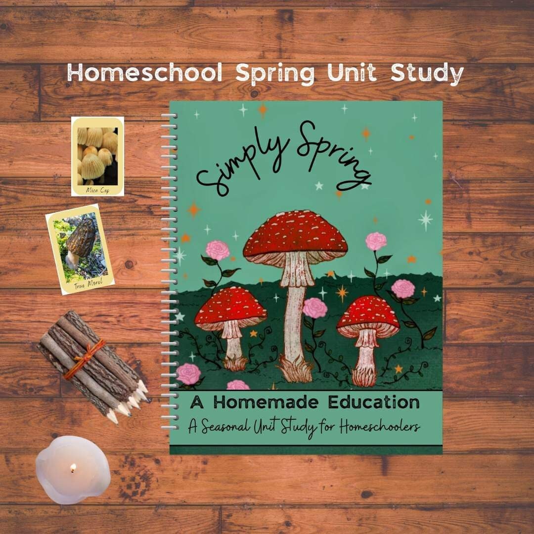 Homeschool Spring Unit Study Seasonal Homeschool Nature Study Family Style Learning - Etsy