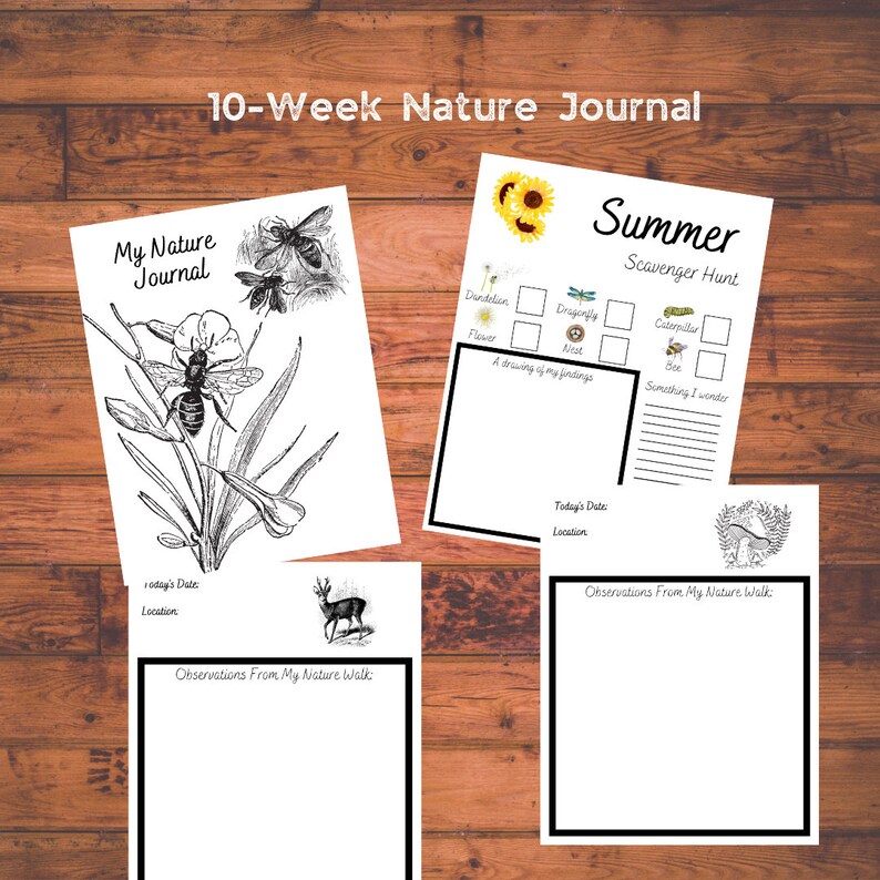Homeschool Summer Unit Study Seasonal Learning Pack Family - Etsy