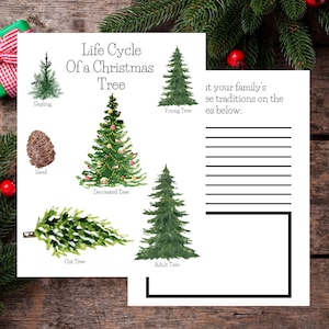 Homeschool Christmas Unit Study Family Style Learning Christmas Holiday ...