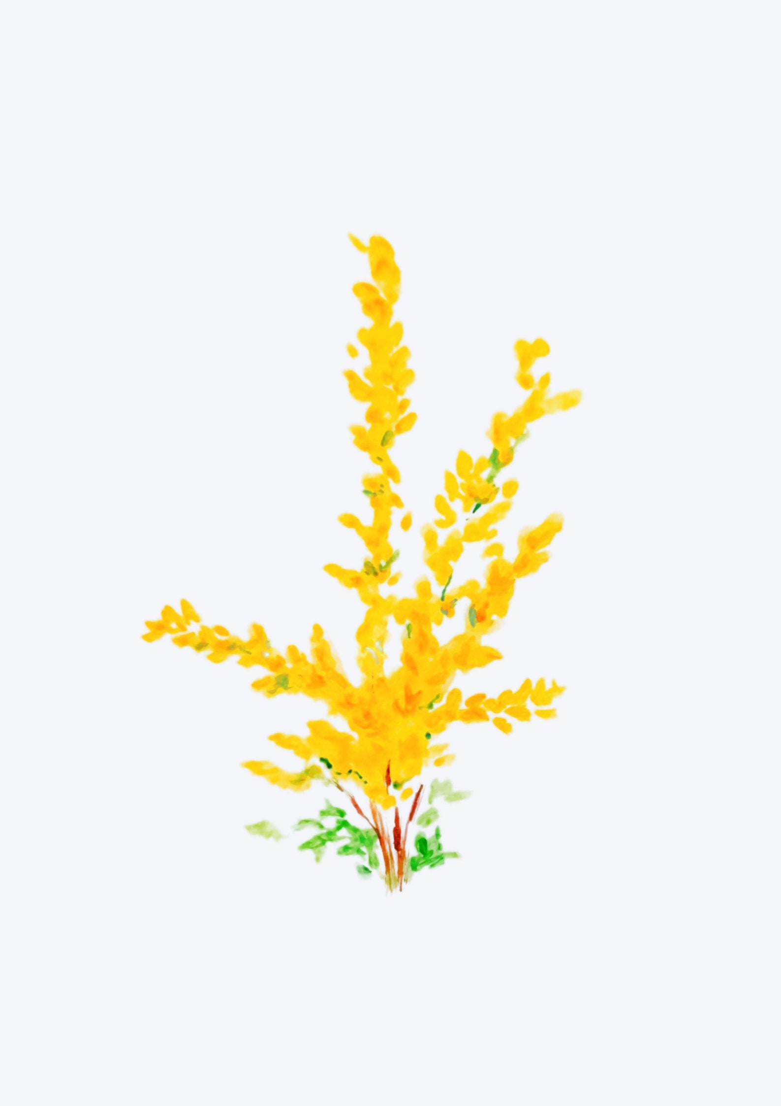 Digital Download Print, Spring Flower Print, Plant Prints, Cute Spring ...