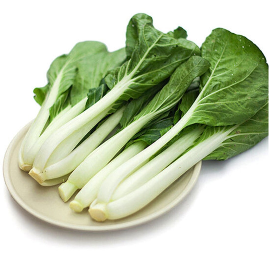 White Pak Choi Seeds, Chinese Cabbage 小白菜 - Etsy