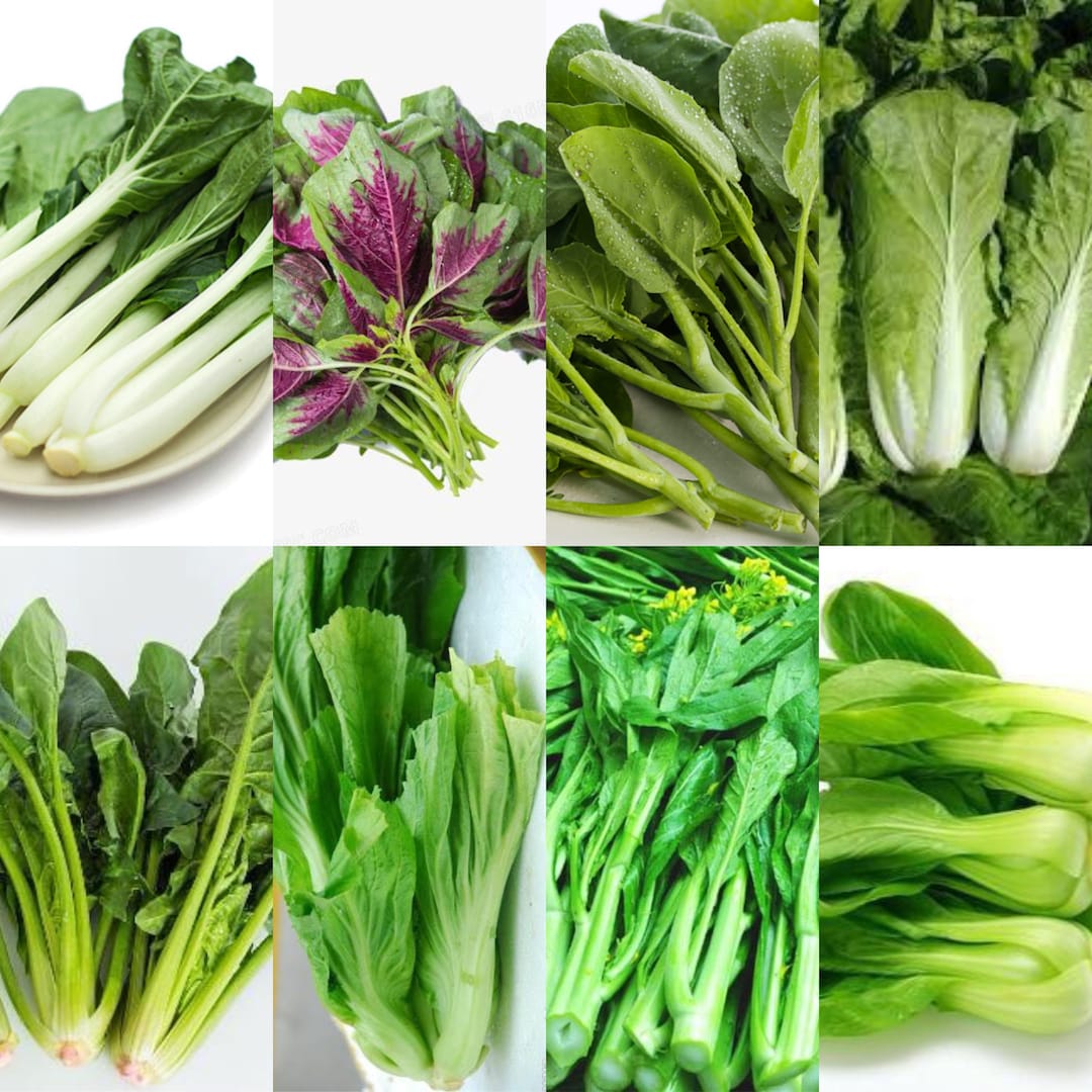 Chinese Veggie Seeds Combo - Etsy