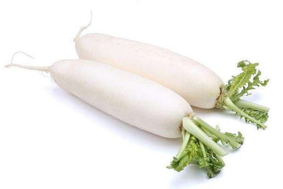 Chinese White Radish Seeds 白蘿蔔 - Etsy
