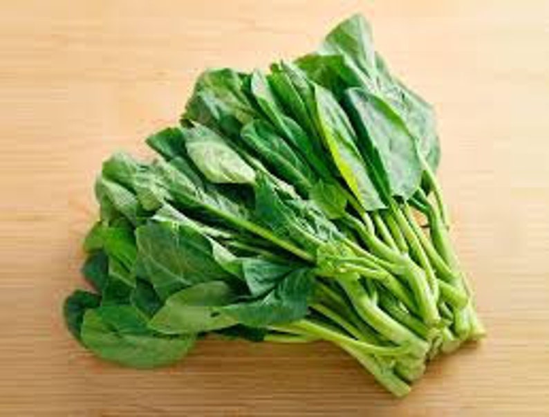Yellow Flower Kai Lan Seeds, 黃花芥蘭chinese Kale, Chinese Broccoli - Etsy