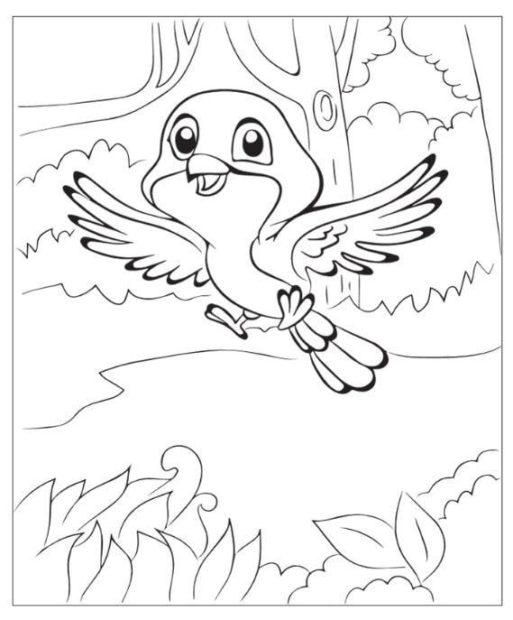 Coloring Pages - Cartoon Birds - Etsy
