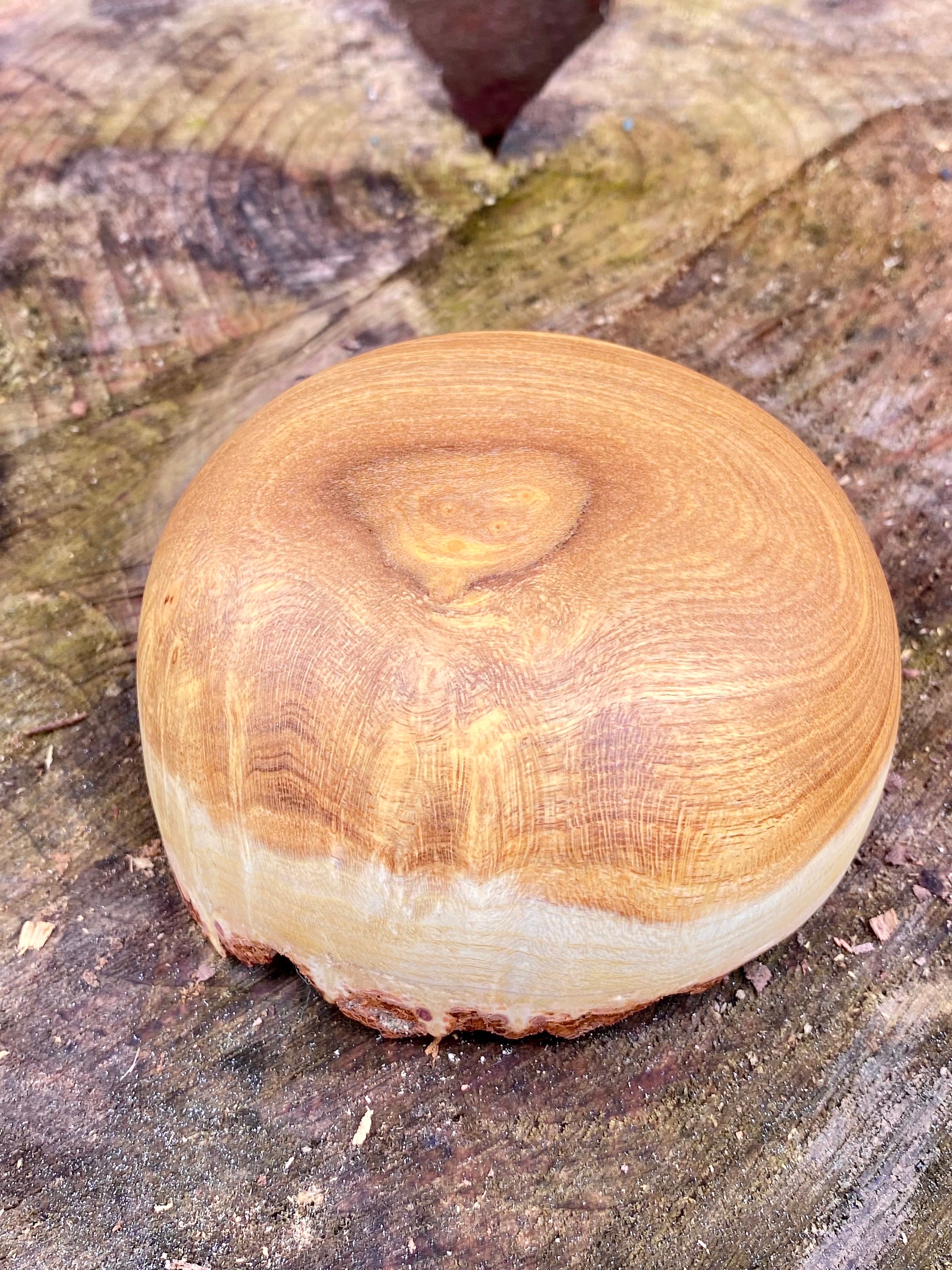 Burr Mulberry Live Edge Wooden Bowl Natural Edge Bowl. Wood Sculpture ...