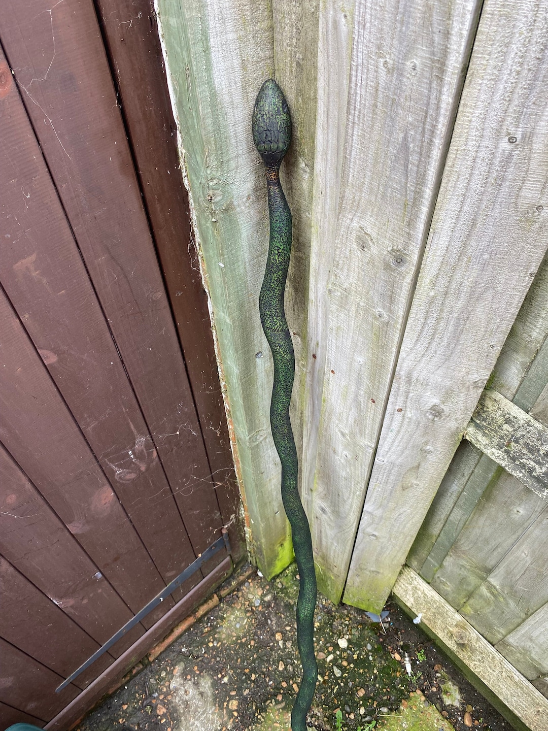 Snake Walking Stick Walking Staff Hand Carved Stick Shamans Staff ...