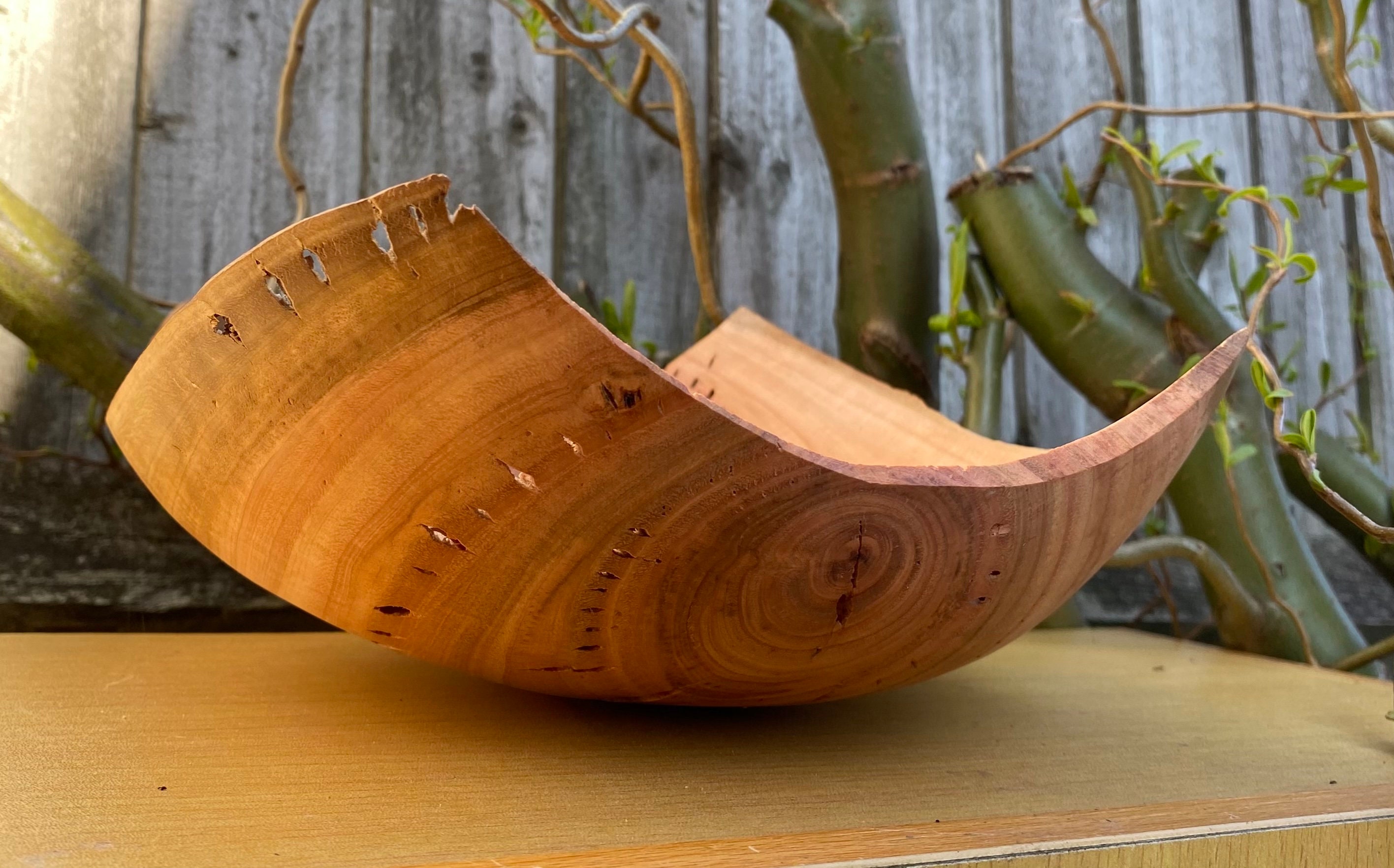 Eucalyptus Waney Edge Live Edge Bowl. Natural Edge Bowl Wooden - Etsy