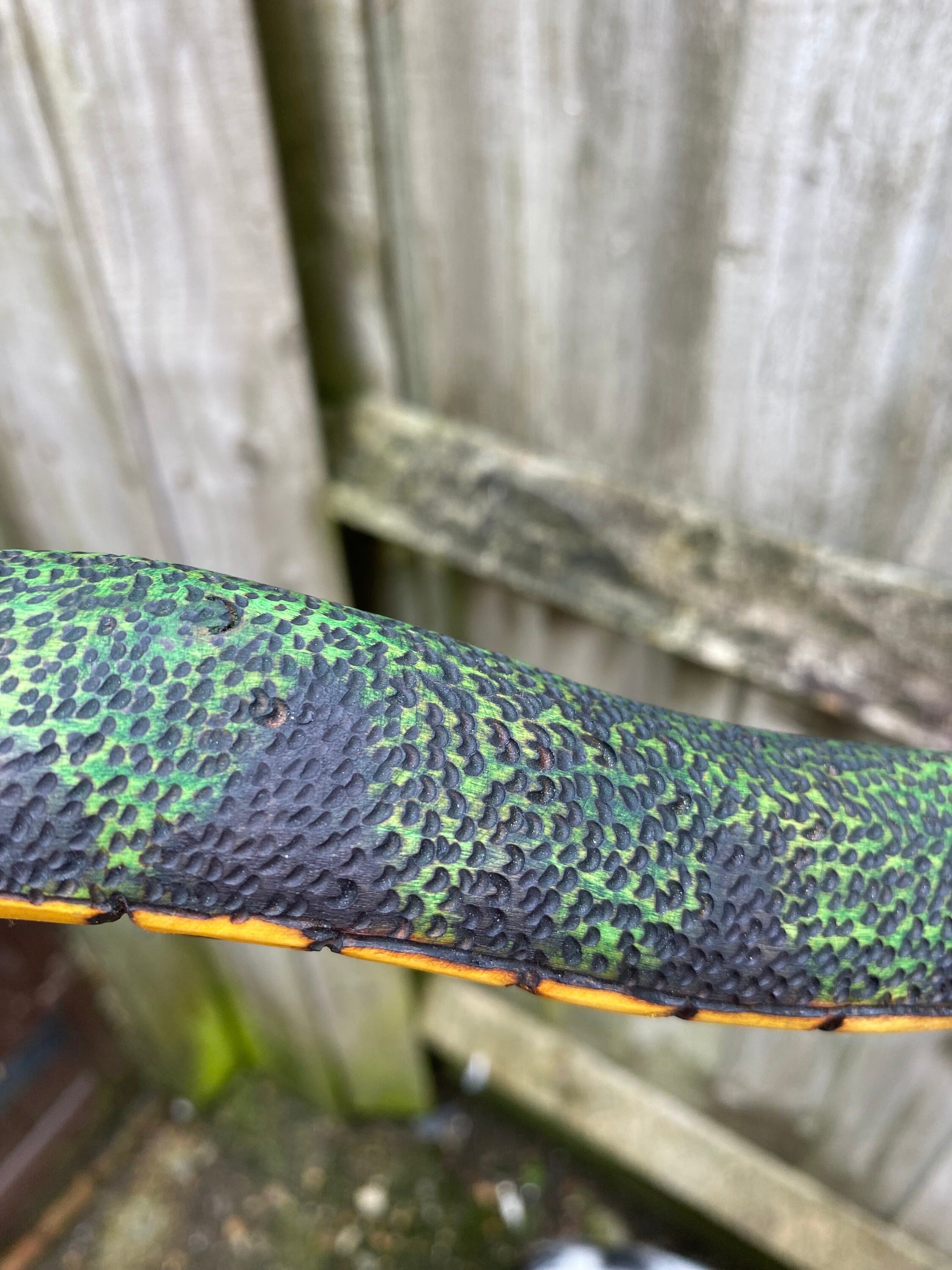 Snake Walking Stick Walking Staff Hand Carved Stick Shamans Staff ...