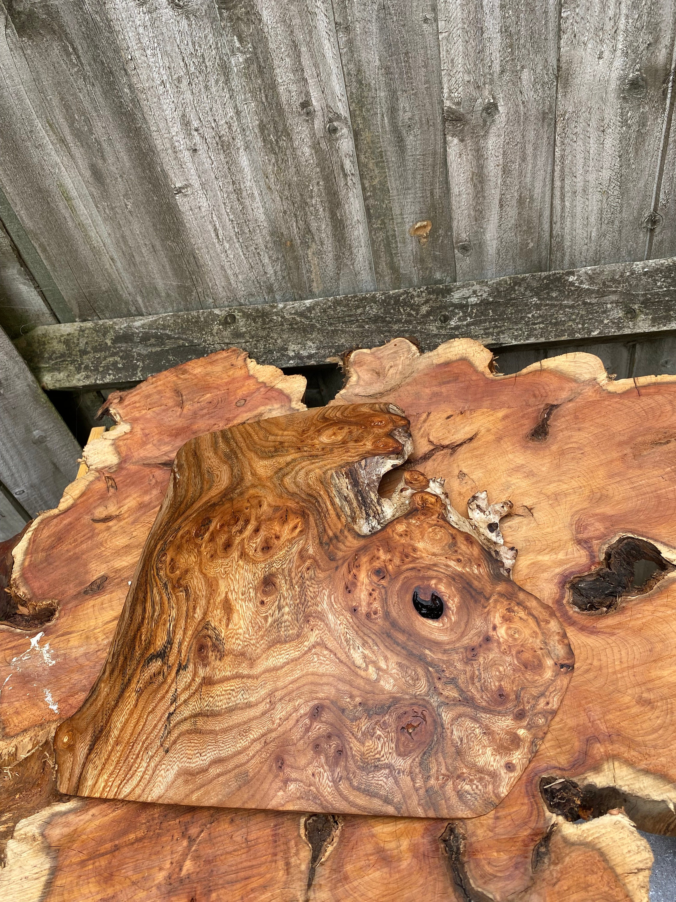 Burr Elm Waney Edge Wooden Bowl Unique and Beautiful Bowl in Stunning ...