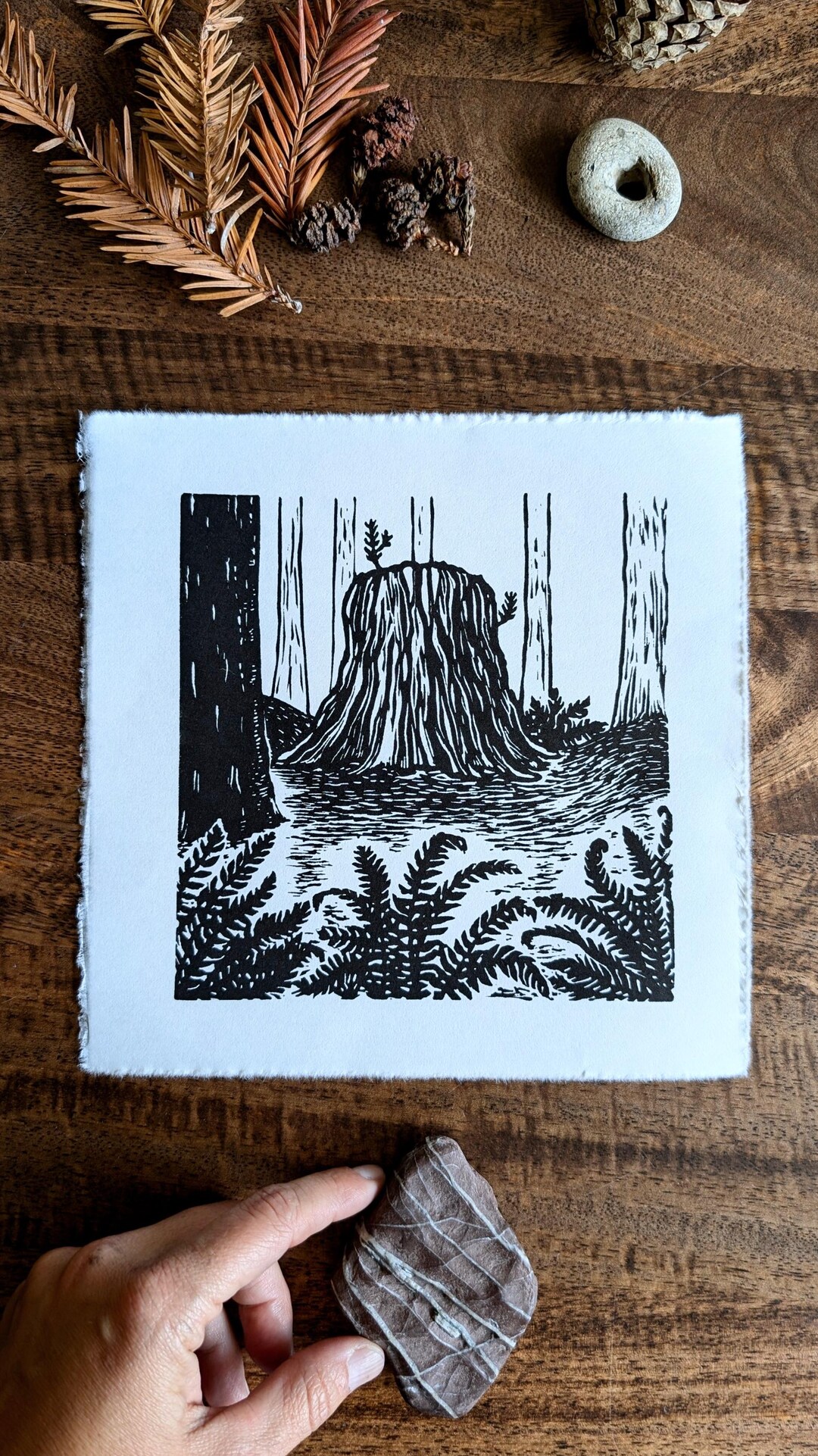 EVERLASTING | Original Linocut Print | Redwood Circle | Fairy Circle ...