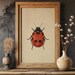 Ladybug Print, Vintage Farmhouse Printable Wall Art, Baby Room Artwork ...