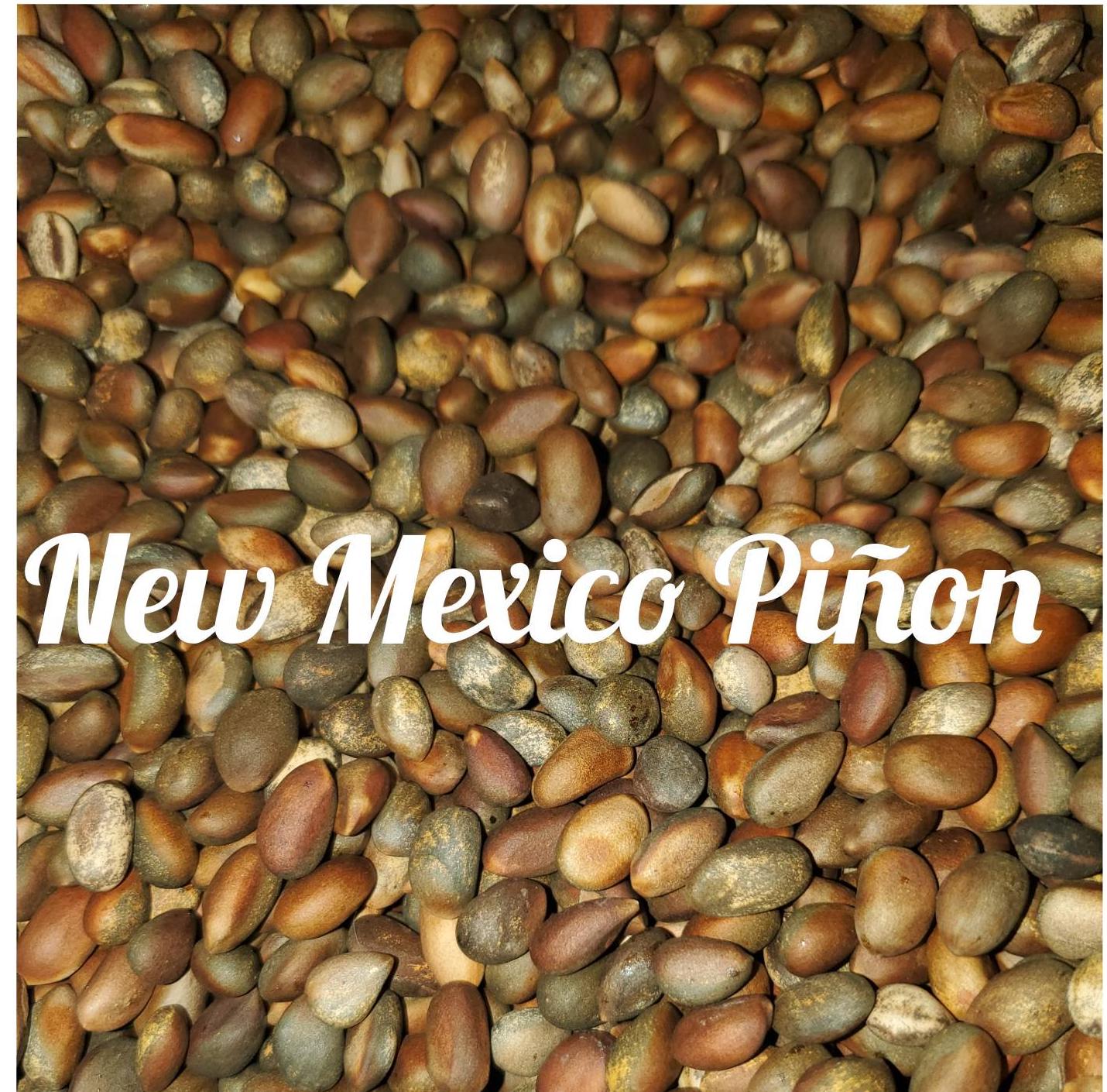 Piñon Pinon 2024 Harvest HARD SHELL Pinion - Etsy
