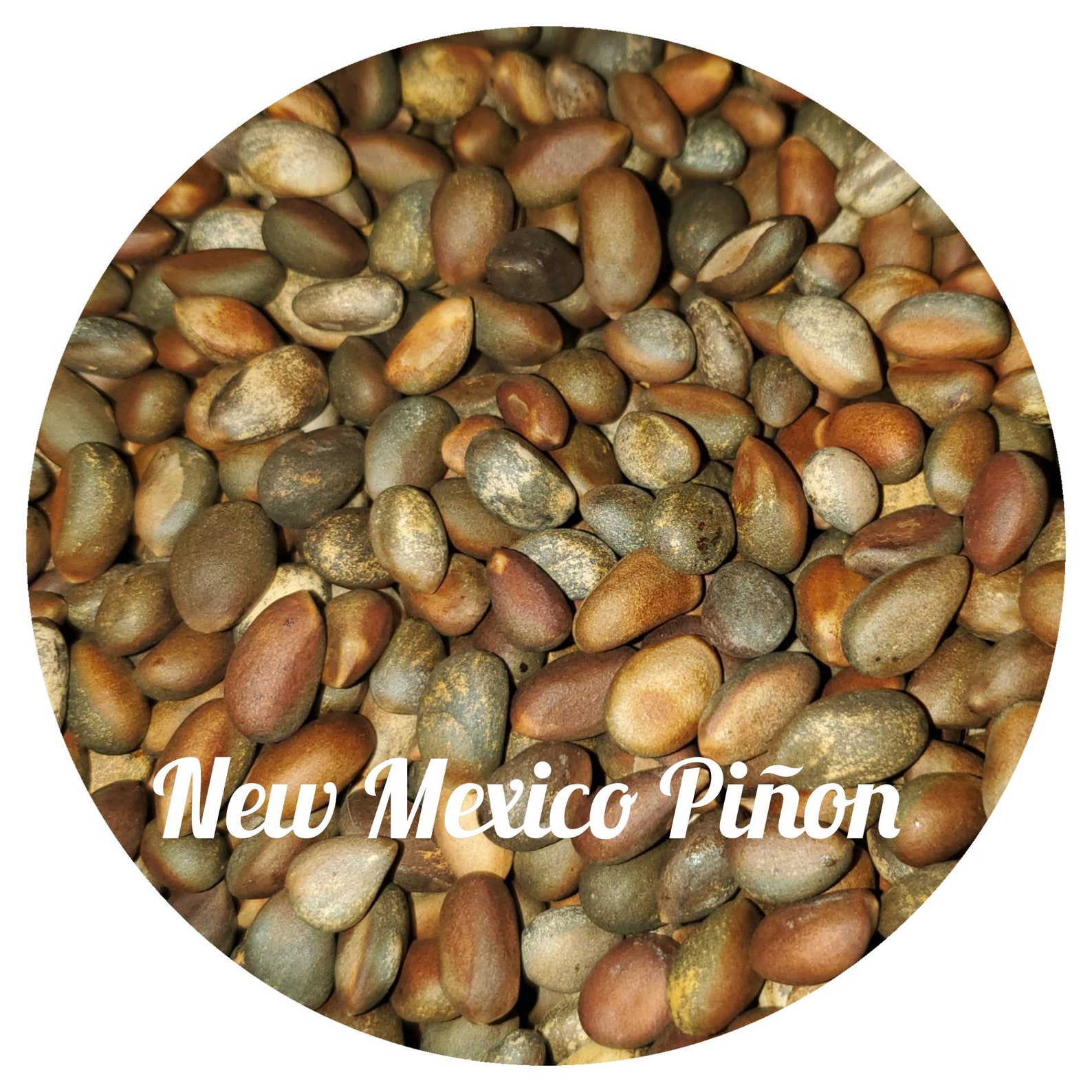 Piñon Fresh Pinon 2020 Harvest | Etsy