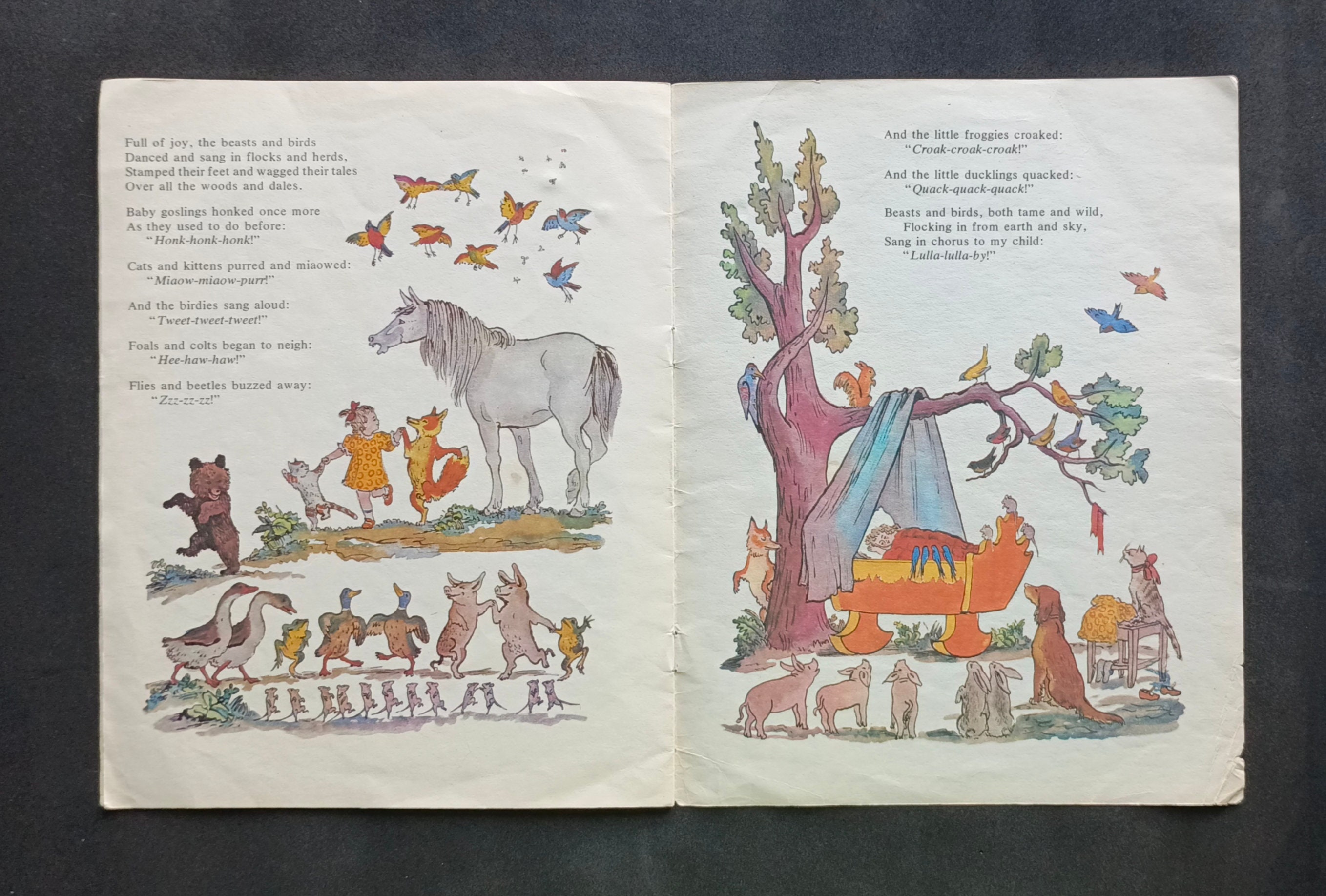 Chukovsky the Muddle , Illustrated Rare Vintage Children's Book in ...