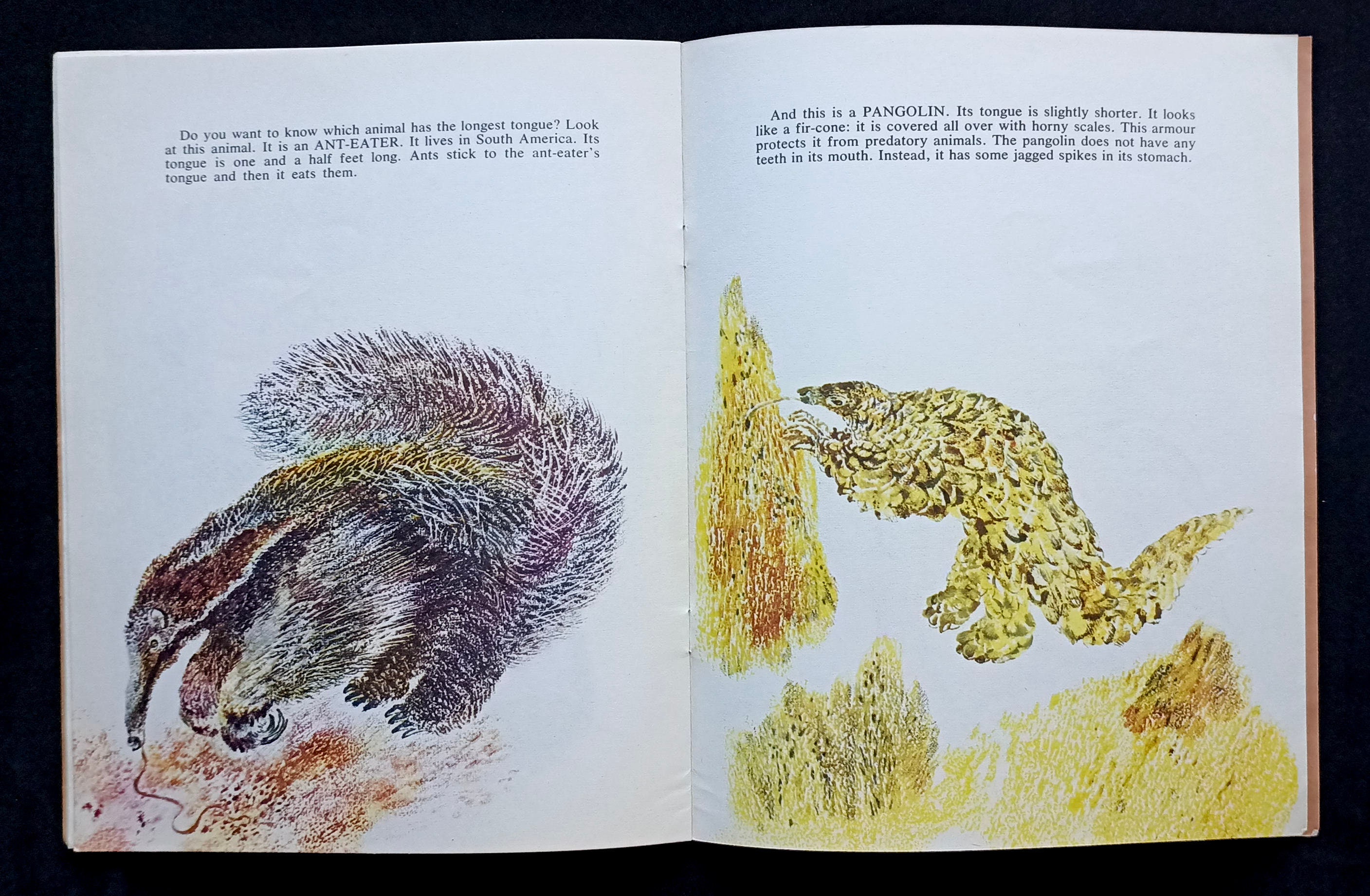 Akimushkin. Rare Animals , Illustrated Charushin Rare Vintage Children ...