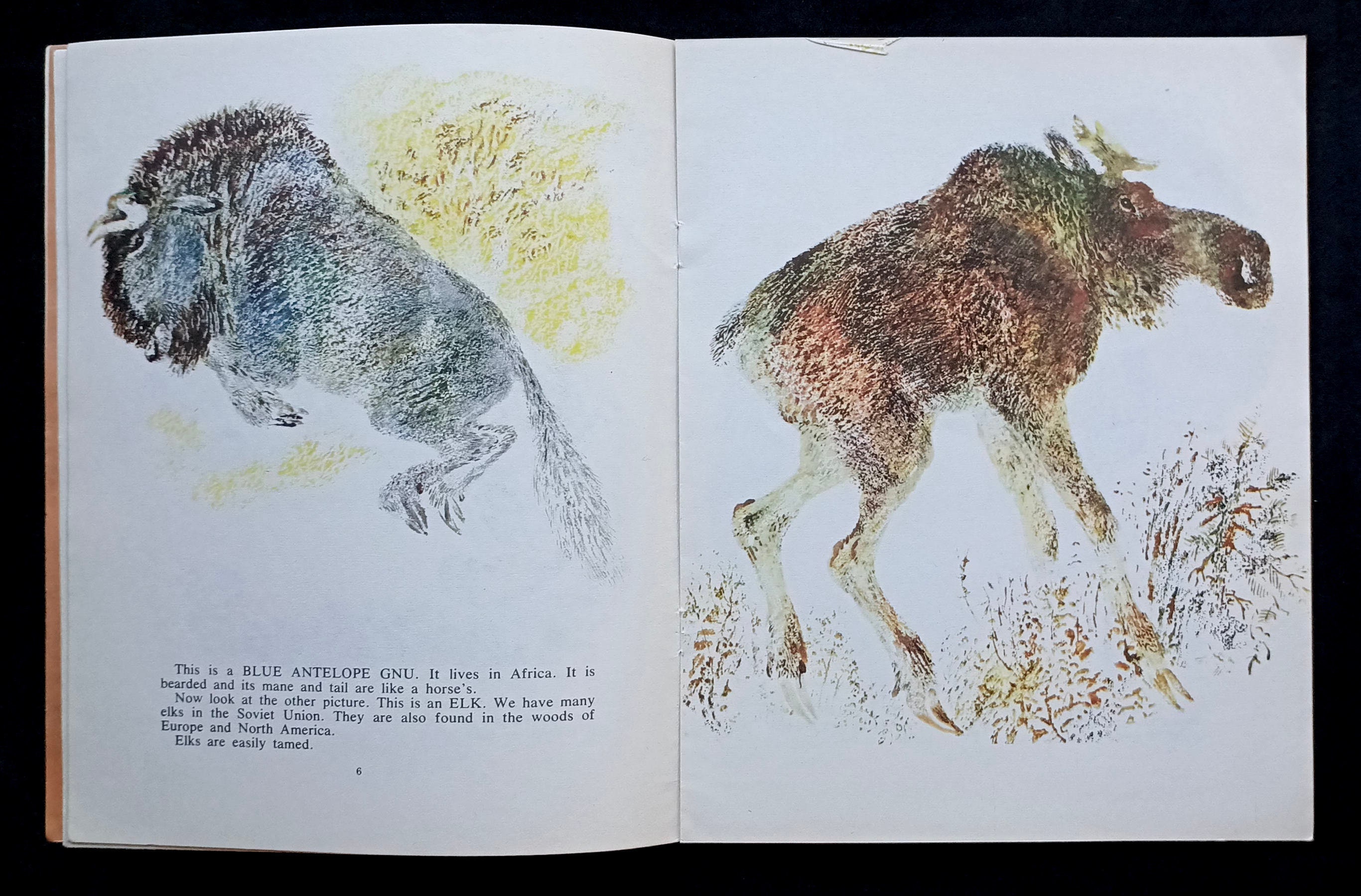 Akimushkin. Rare Animals , Illustrated Charushin Rare Vintage Children ...