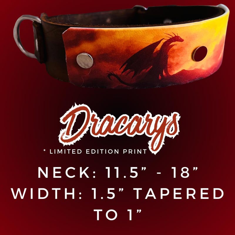 Dragon Dog Collar - Etsy