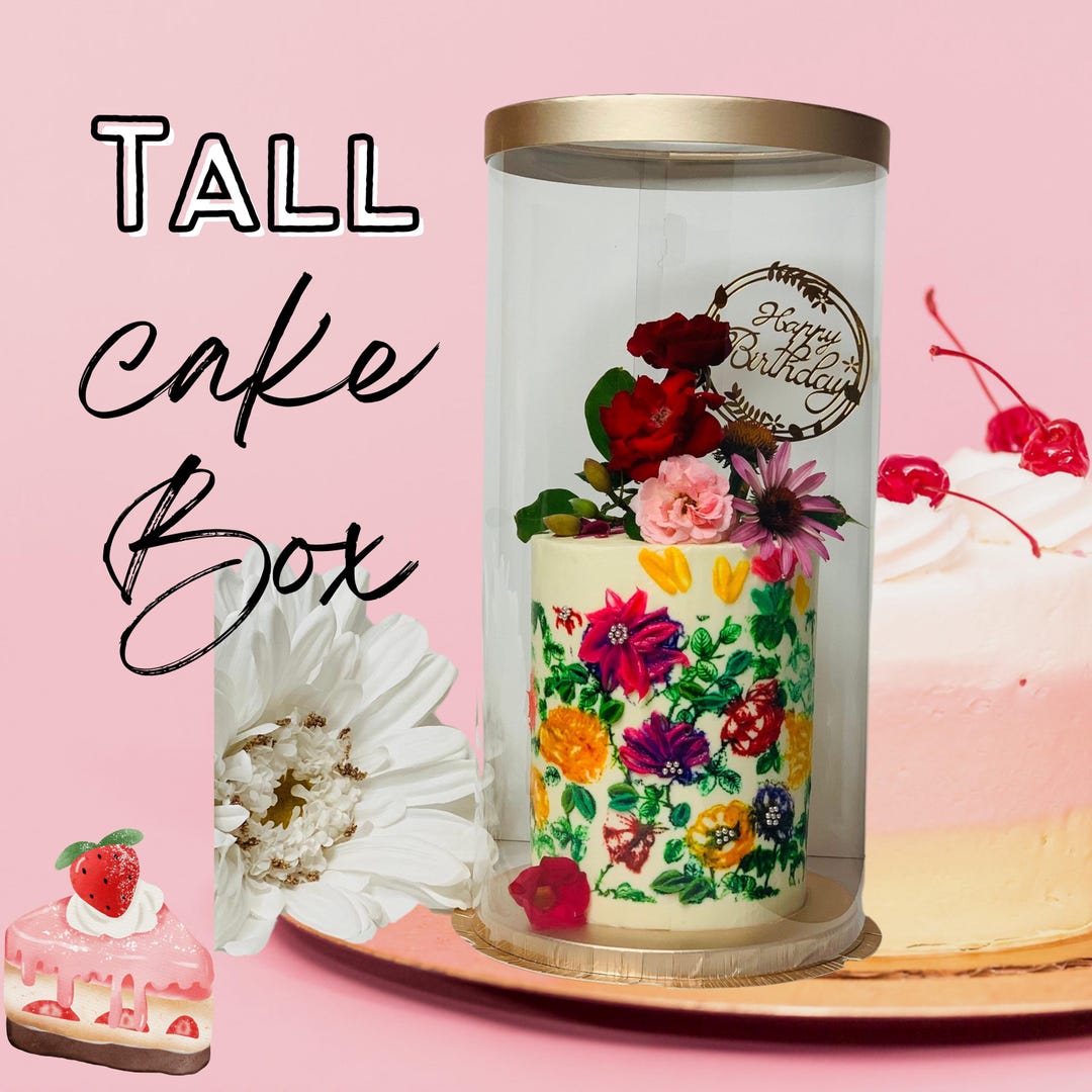 5 Sets Extra Tall Clear Cake Boxes With Ribbons Gold Cake Box 8.5 by 17 ...
