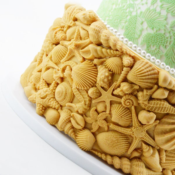 Sea Shell Cake Mold - Etsy