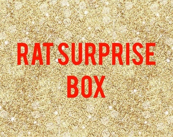 Rat Dig Box | Etsy UK