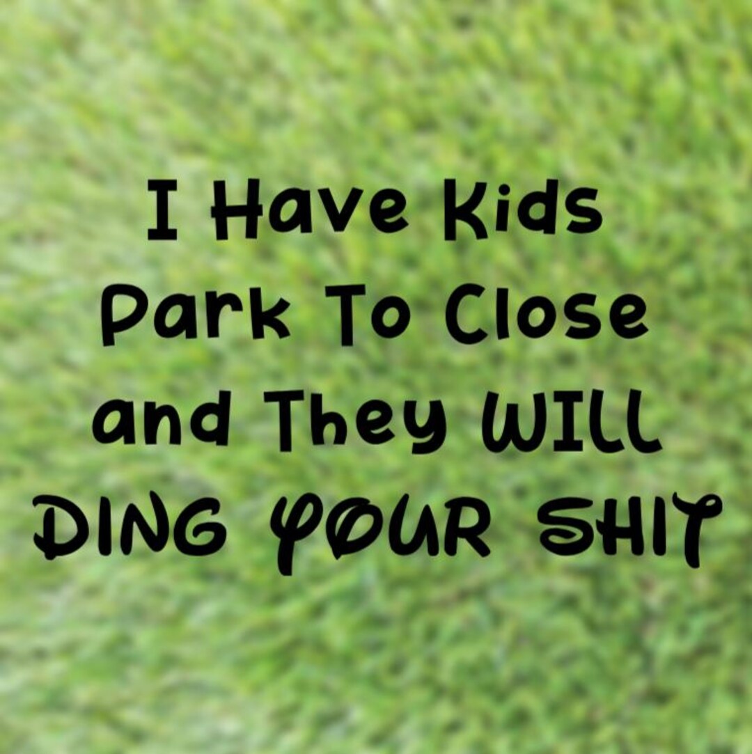 I Have Kids Decal | Car Decal - Etsy
