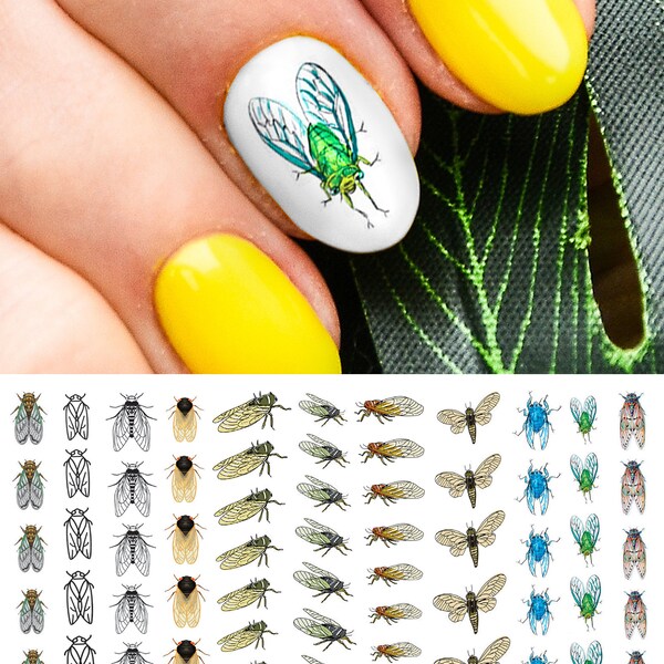 Insect Decals - Etsy