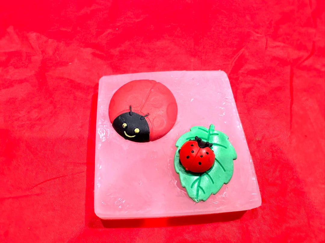 Lady Bug Mold - Etsy