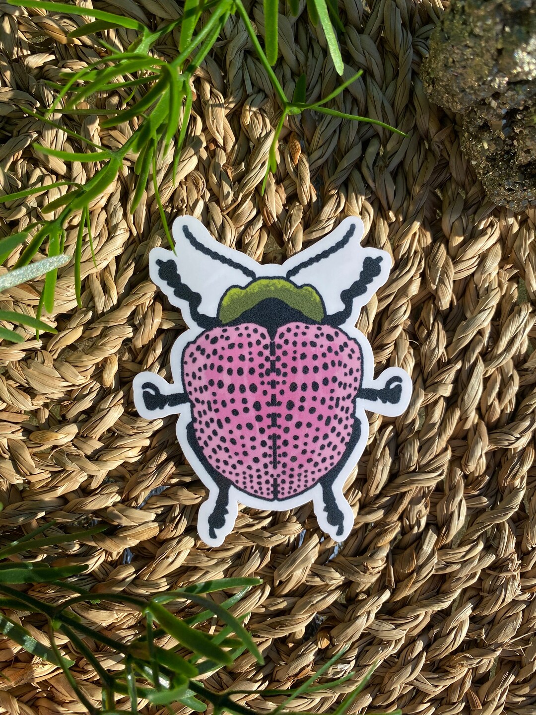 Pink Beetle Bug Insect Sticker Garden Buddy Bight Cool Design Handmade ...