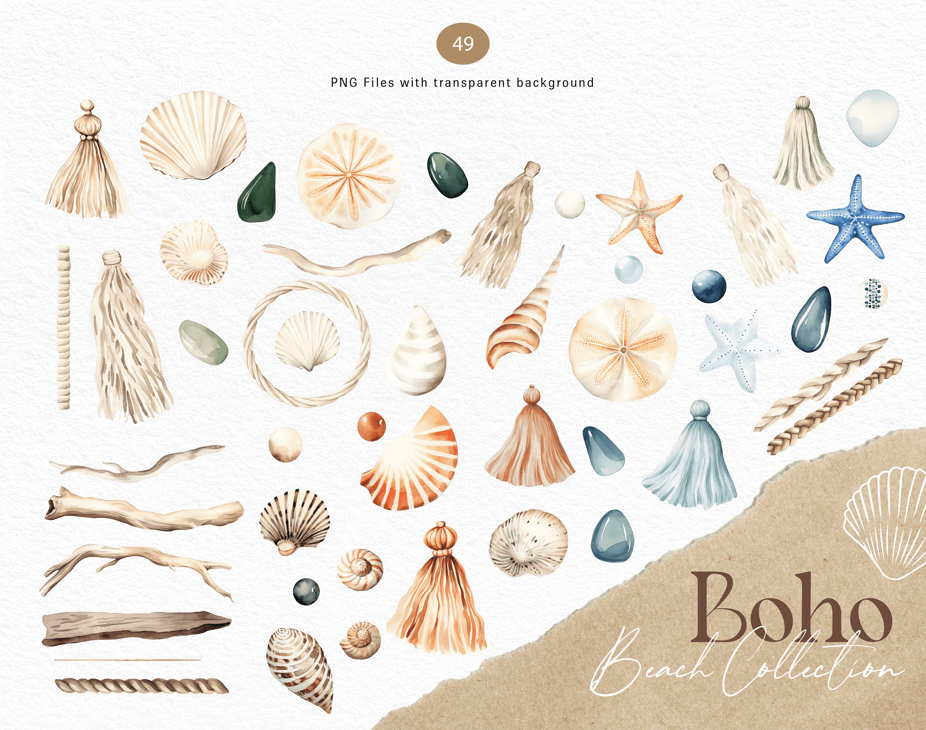 Boho Seaside Ocean Digital Clipart Set Coastal Shell Designs, Boho ...
