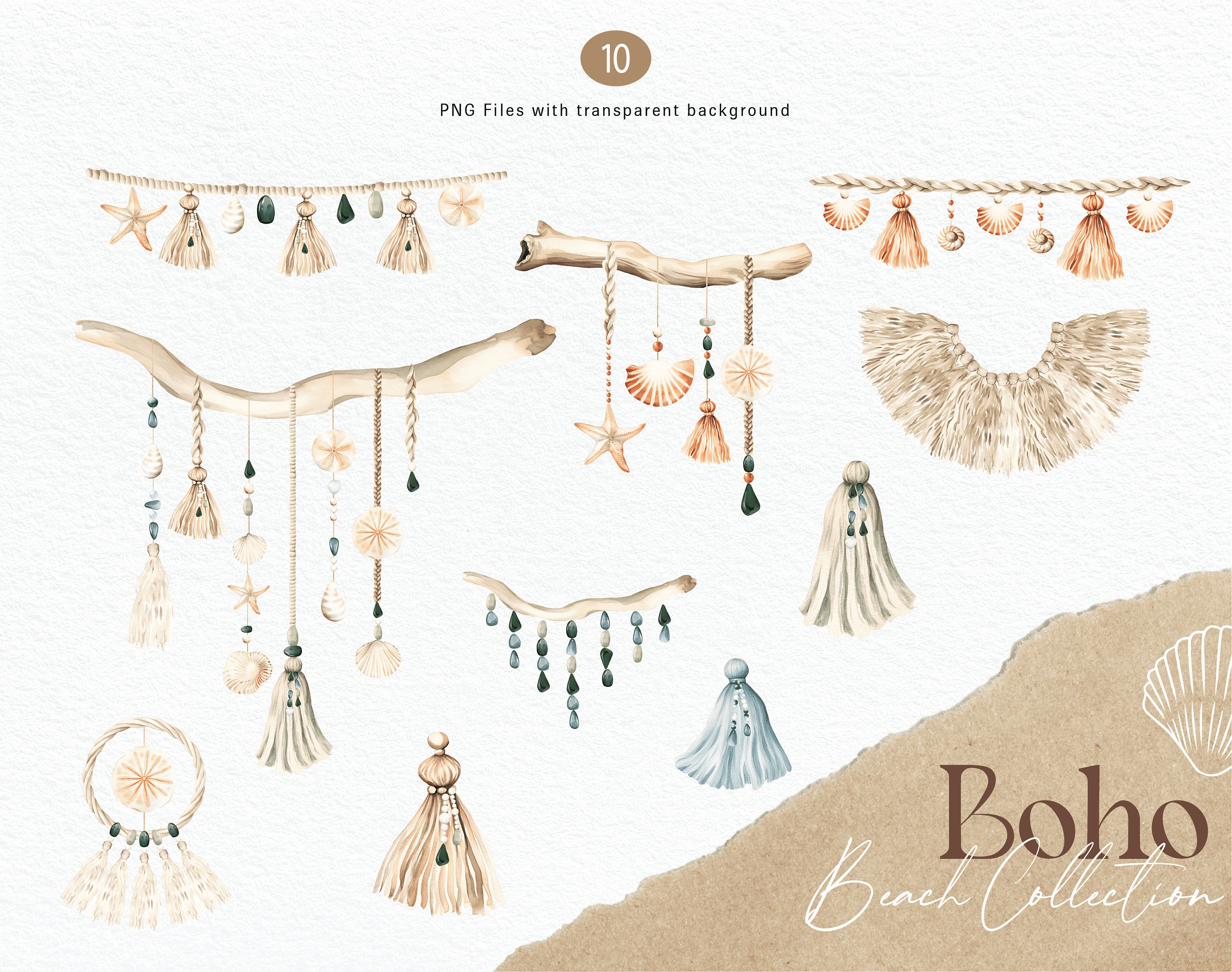 Boho Seaside Ocean Digital Clipart Set Coastal Shell Designs, Boho ...