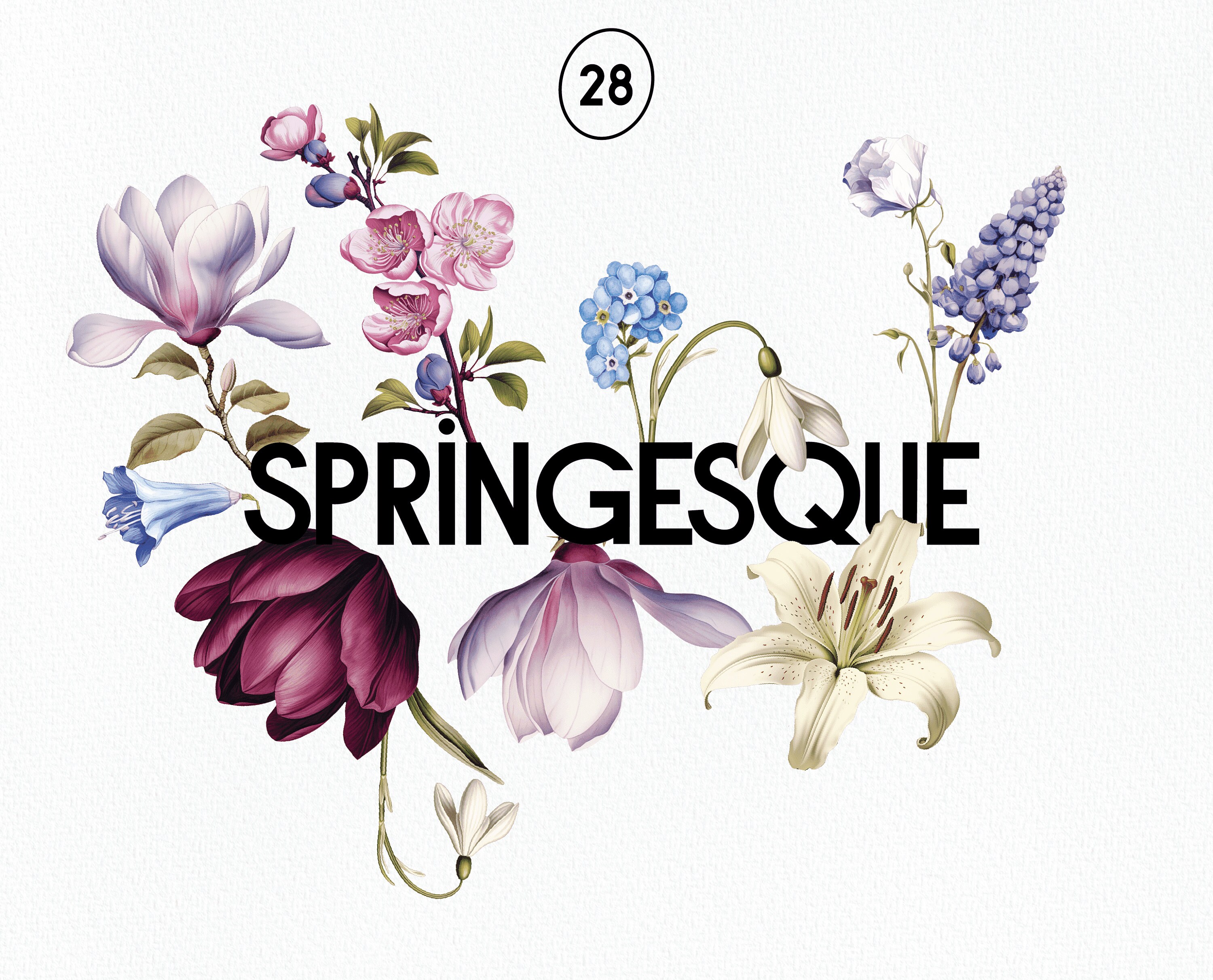 Spring Flowers Clipart Set Botanical Art Style, Digital Download, 28 ...