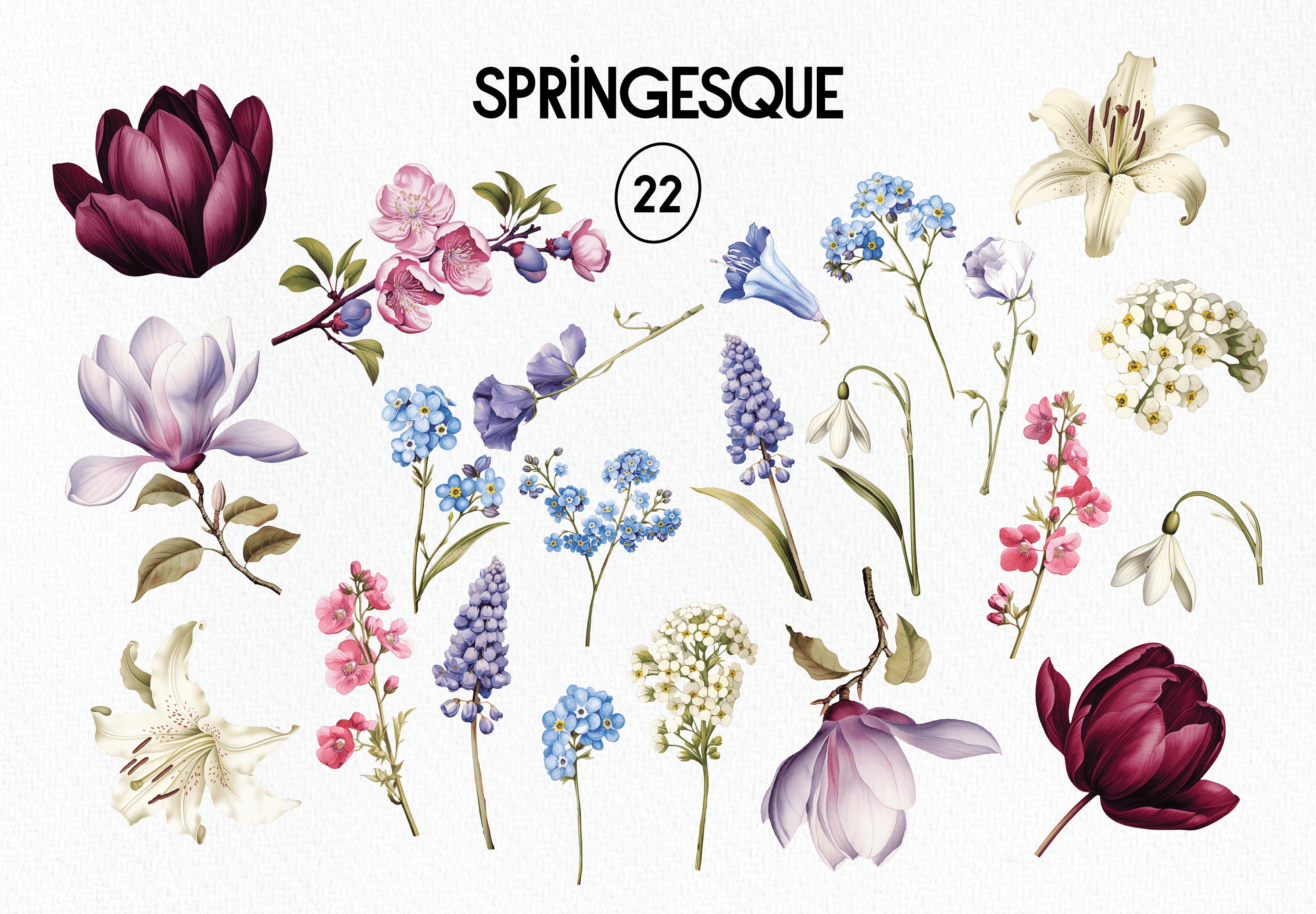 Spring Flowers Clipart Set Botanical Art Style, Digital Download, 28 ...