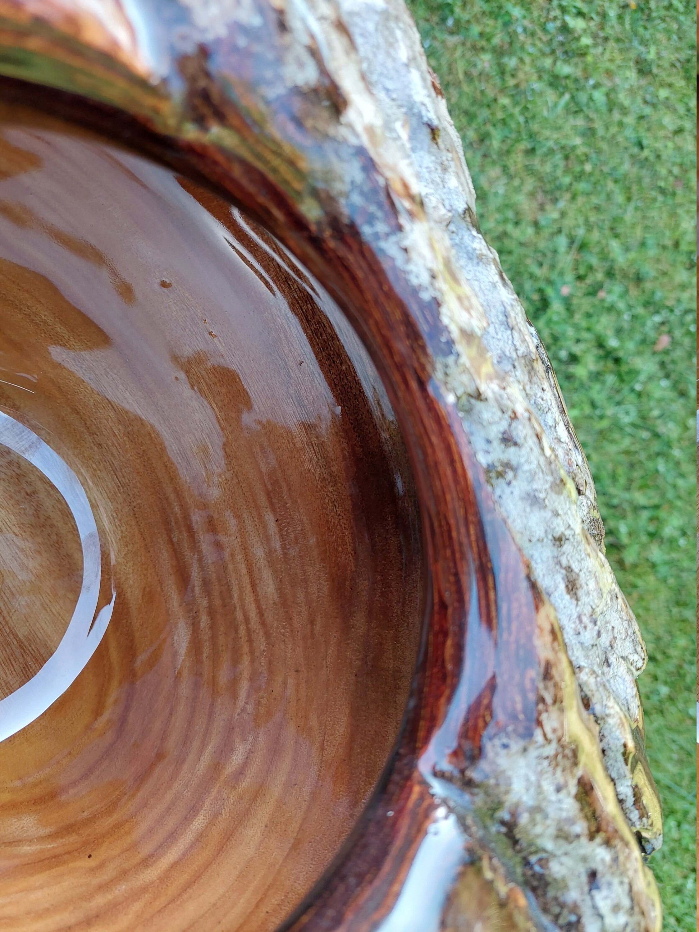 Live Edge Red Camphor Vessel - Etsy