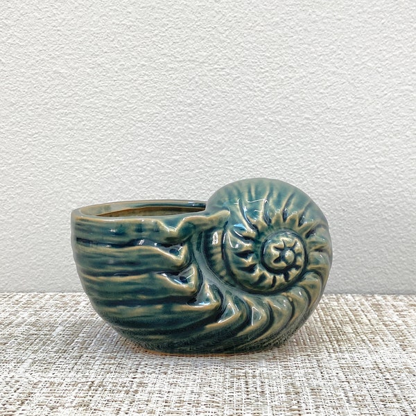 Conch Shell Planter - Etsy