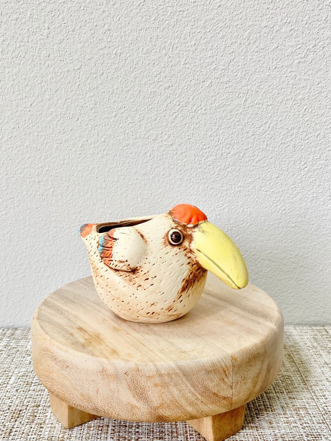 Ceramic Succulent Pot | Cute Toucan Planter for Small Plants | Drainage ...