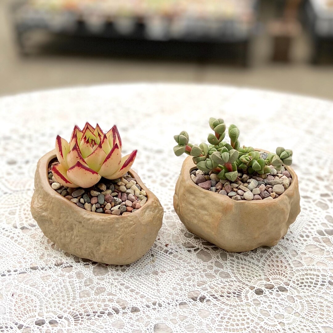 Natural Rock-textured Pot | Ceramic Pots With Drainage - Etsy