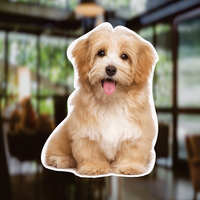 Custom Static Window Cling Vinyl Sticker Personalized Window - Etsy