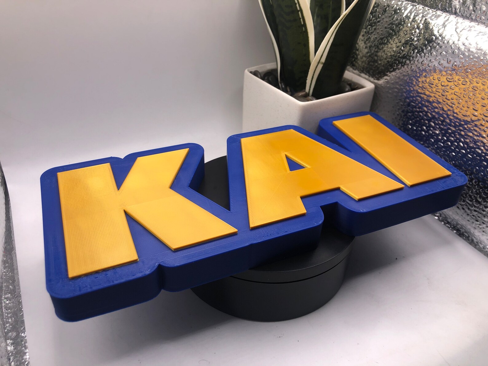 3d Printed Fast Hedgehog & Friends Style Name Plate I Personalized Desk ...