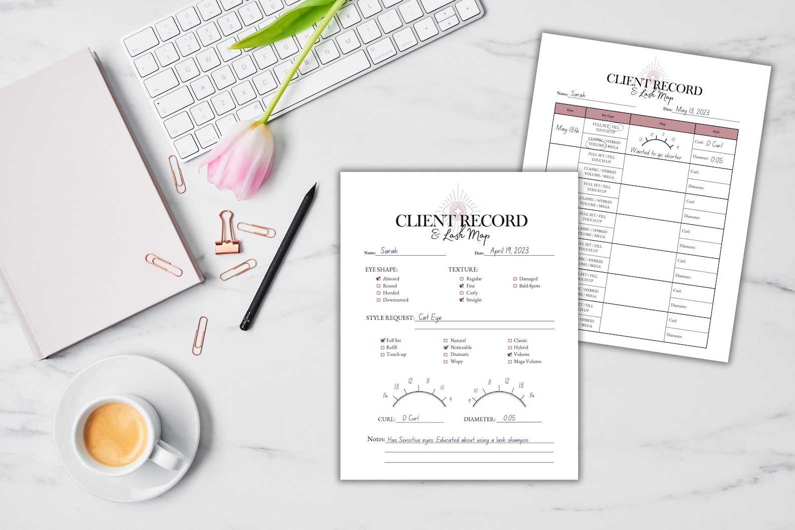 Eyelash Extension Client Record Form / Lash Map Document / Printable ...