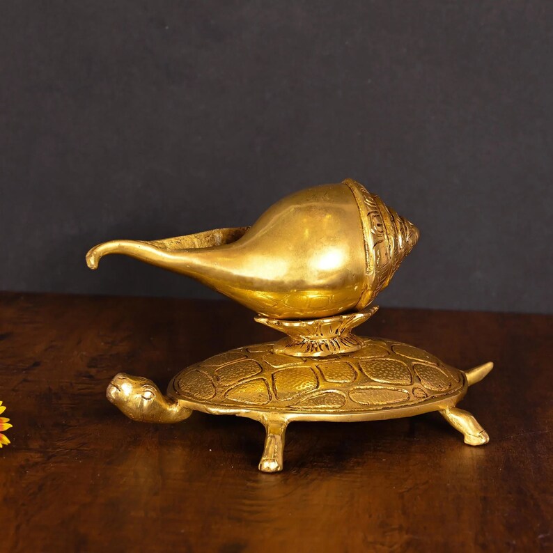 Brass Conch Shankh on Tortoise 8 Inches Feng Shui - Etsy