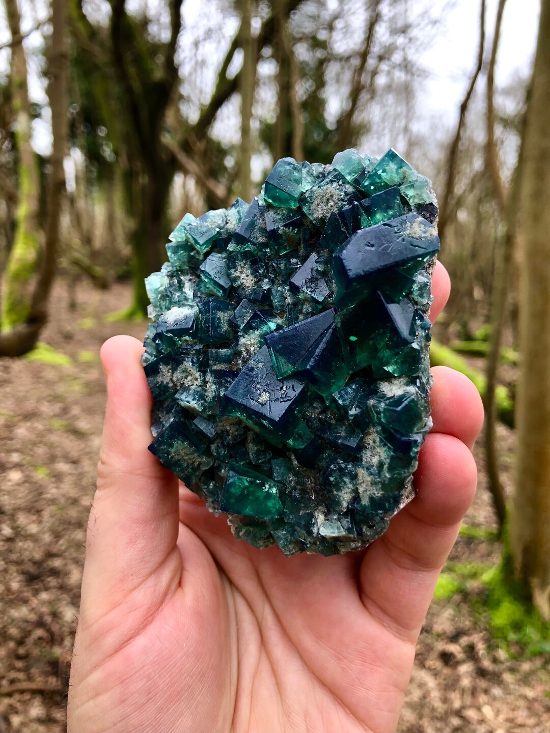 Rare Colour Change Fluorite With Cubic Formations UK Fluorite Hidden ...