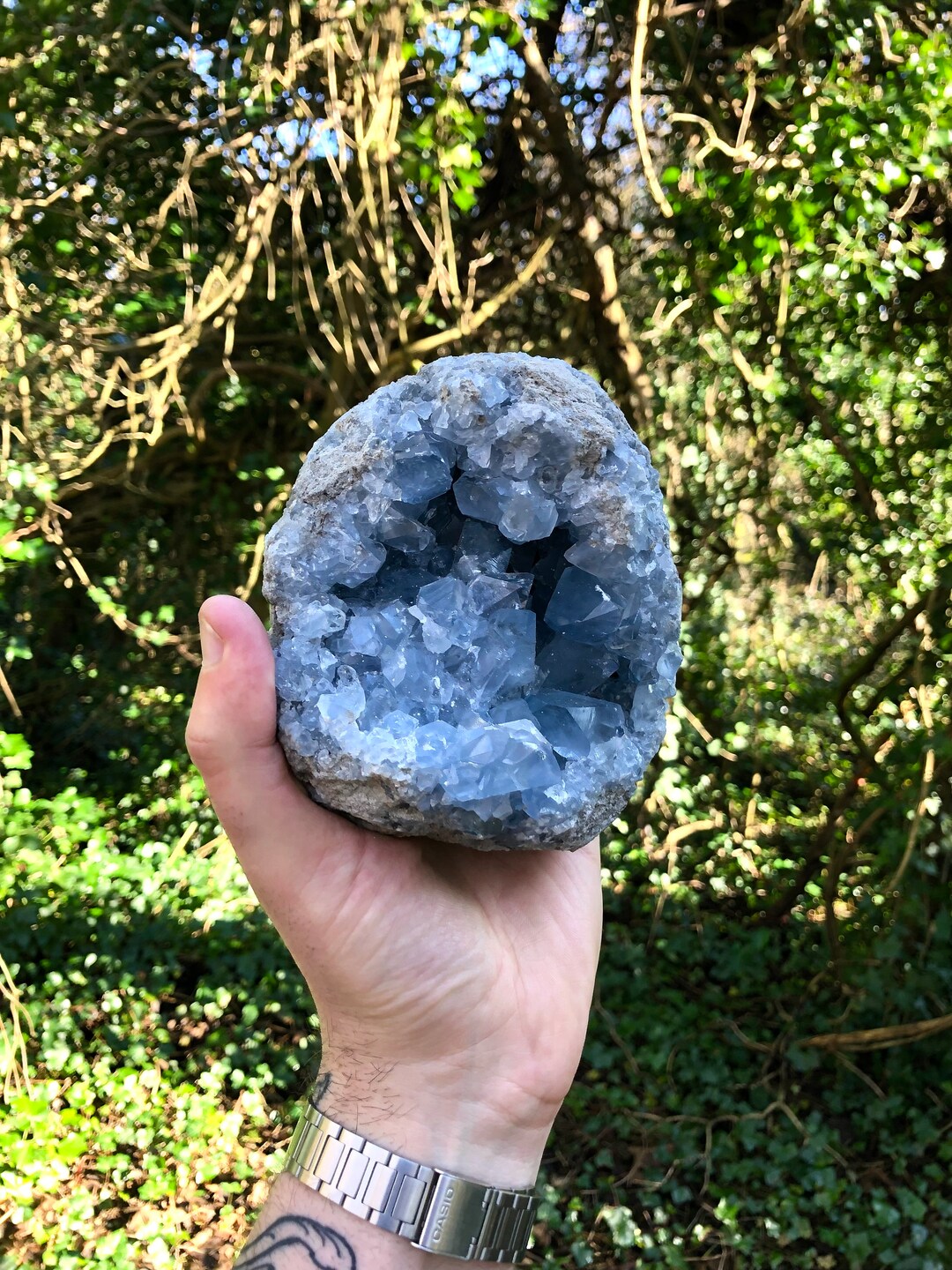Extra Large Celestine Blue Cluster Celestite Geode Raw Crystal Specimen ...