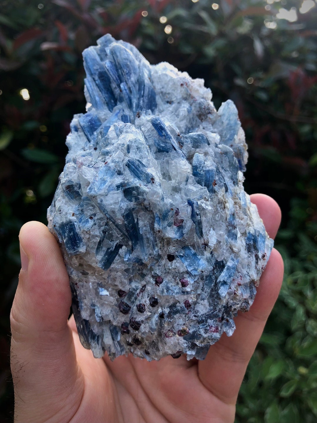 Blue Kyanite & Red Garnet in Quartz Crystal Specimen - Etsy