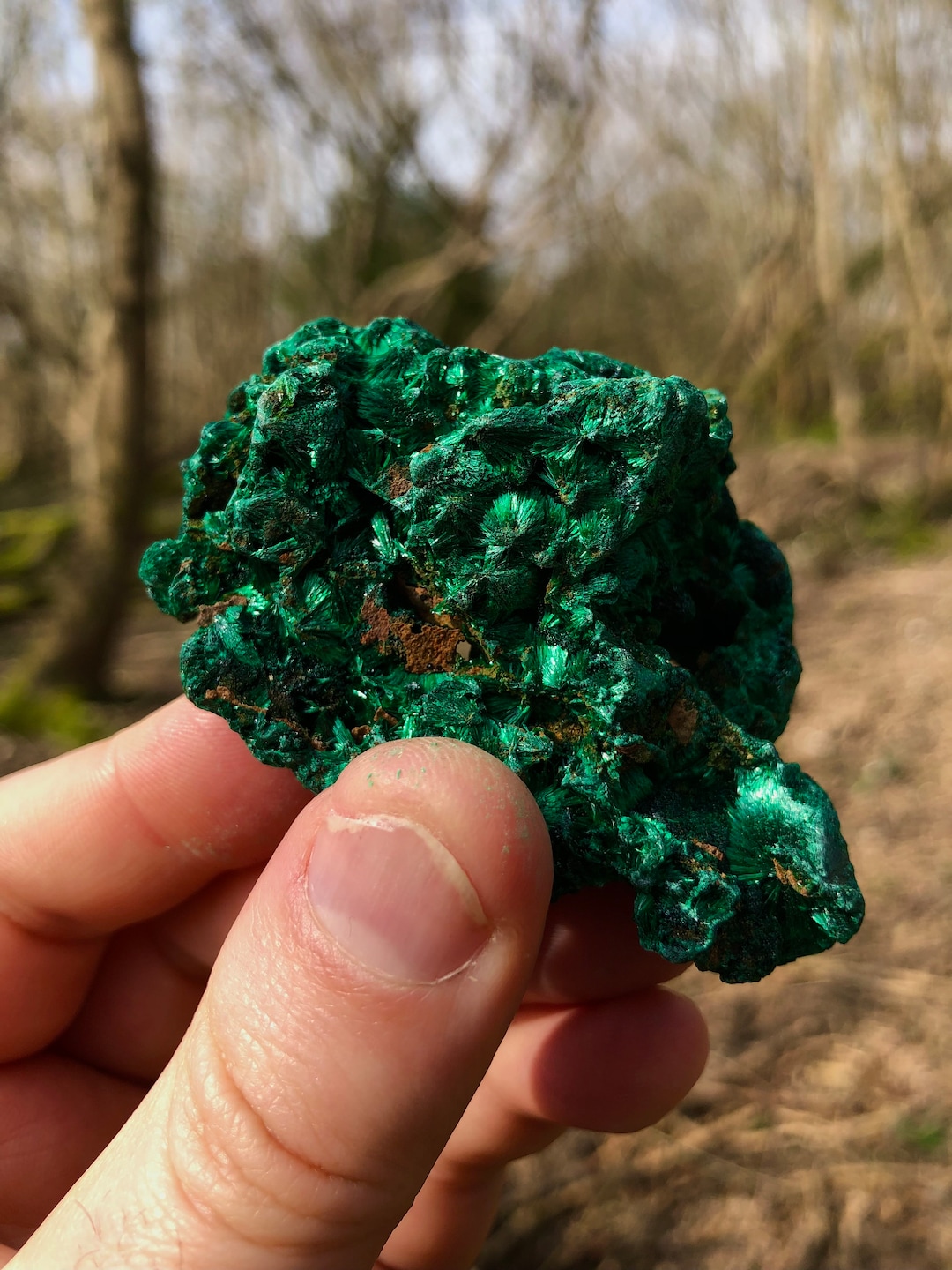 Rare Silky Malachite Raw Crystal Specimen Sparkling Fibrous Malachite ...