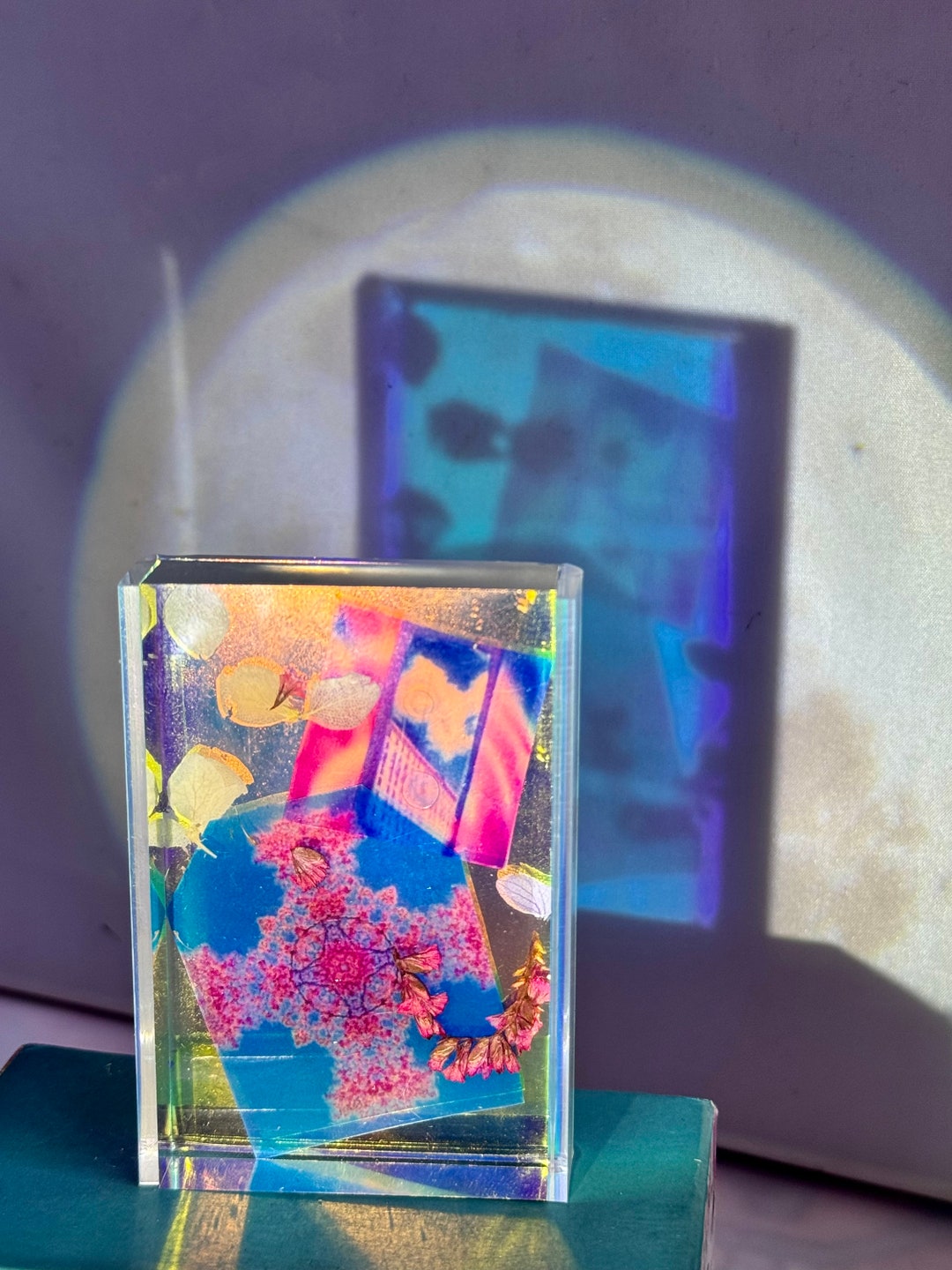 Dichroic Frame With Transparency Collage and Dried Flowers - Etsy